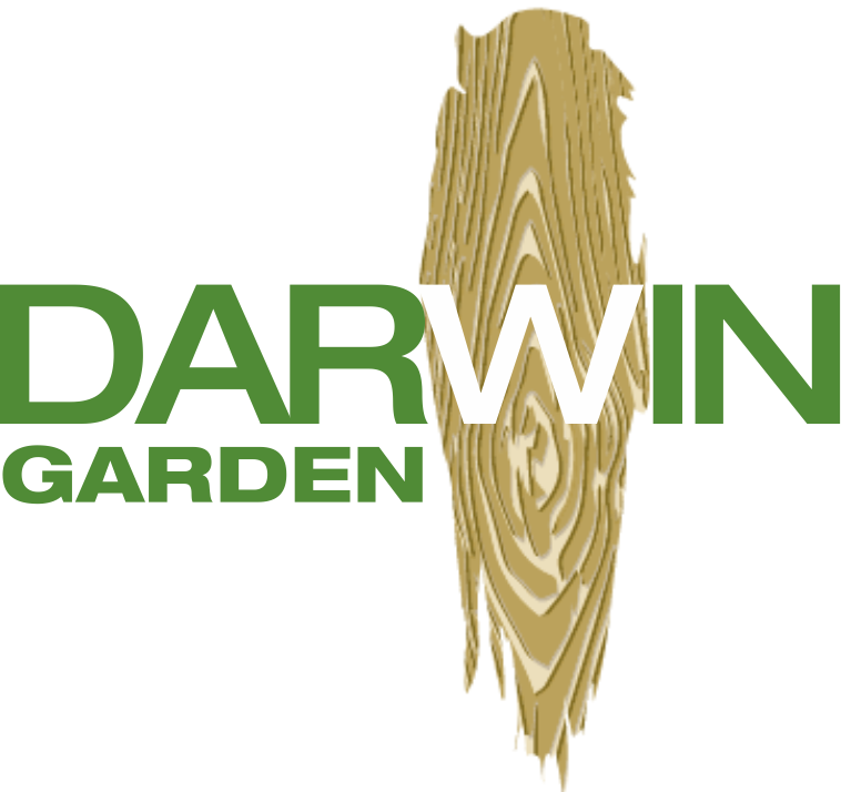 Manutenzione – Darwin Garden